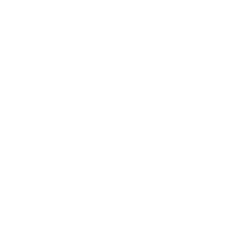 Deggendorf Institute of Technology